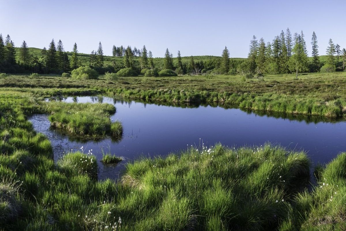 Concerts, balades, spectacles de rue, Vendred'Issoire... voici quelques idées de sorties à faire ...