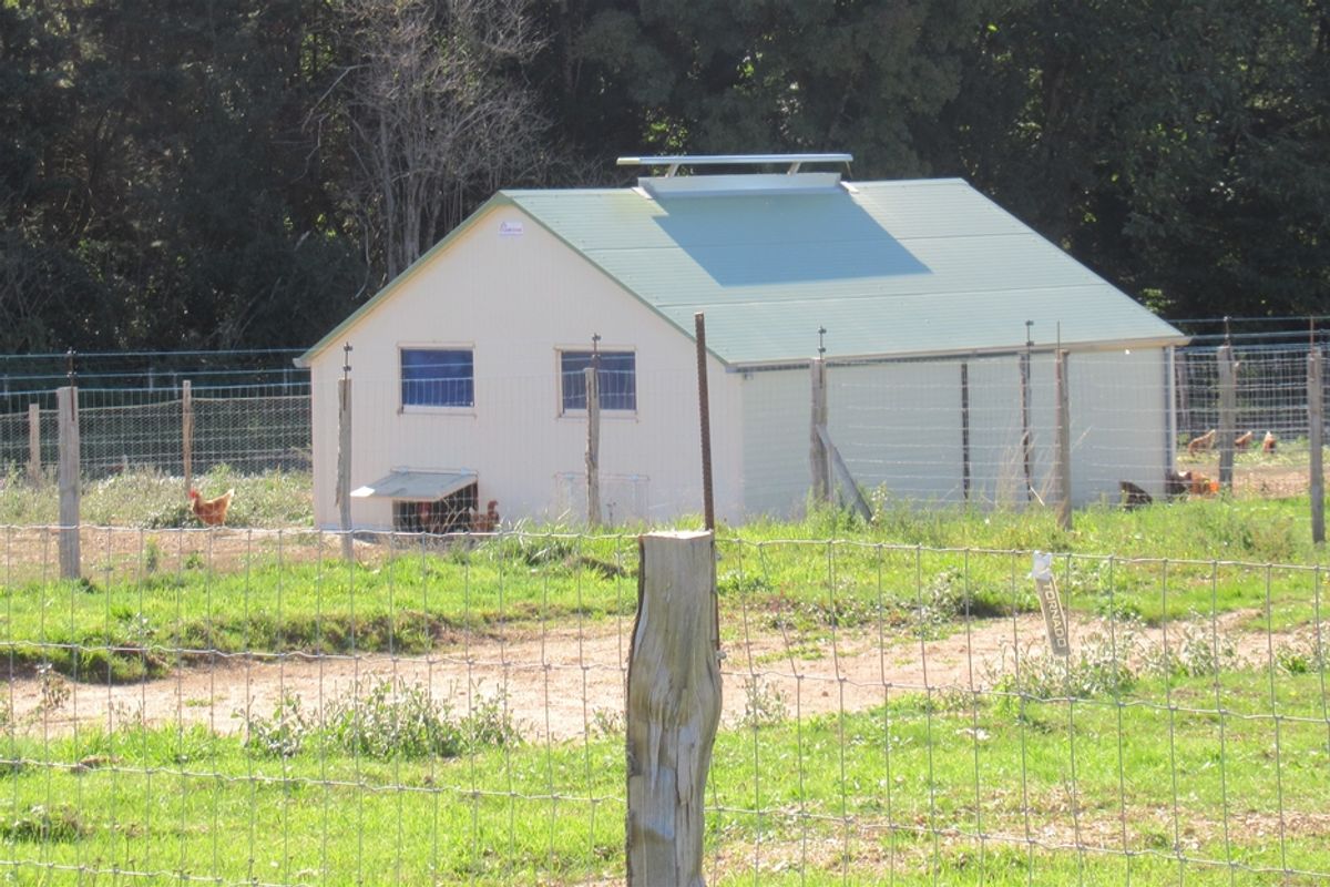 LURY SUR ARNON. Marché bio d’automne ce dimanche à Lury-sur-Arnon - Le ...