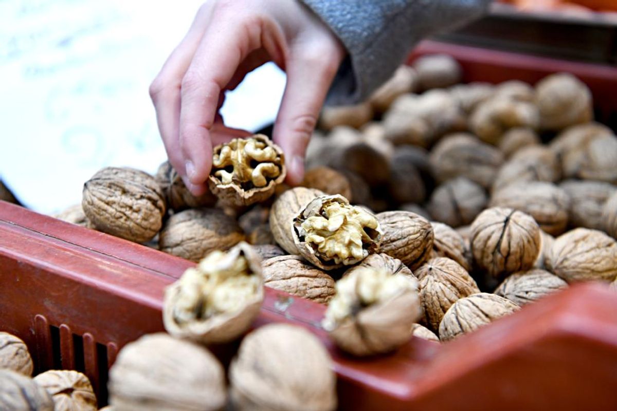La tradition berrichonne du décorticage des noix remise au goût du jour ...