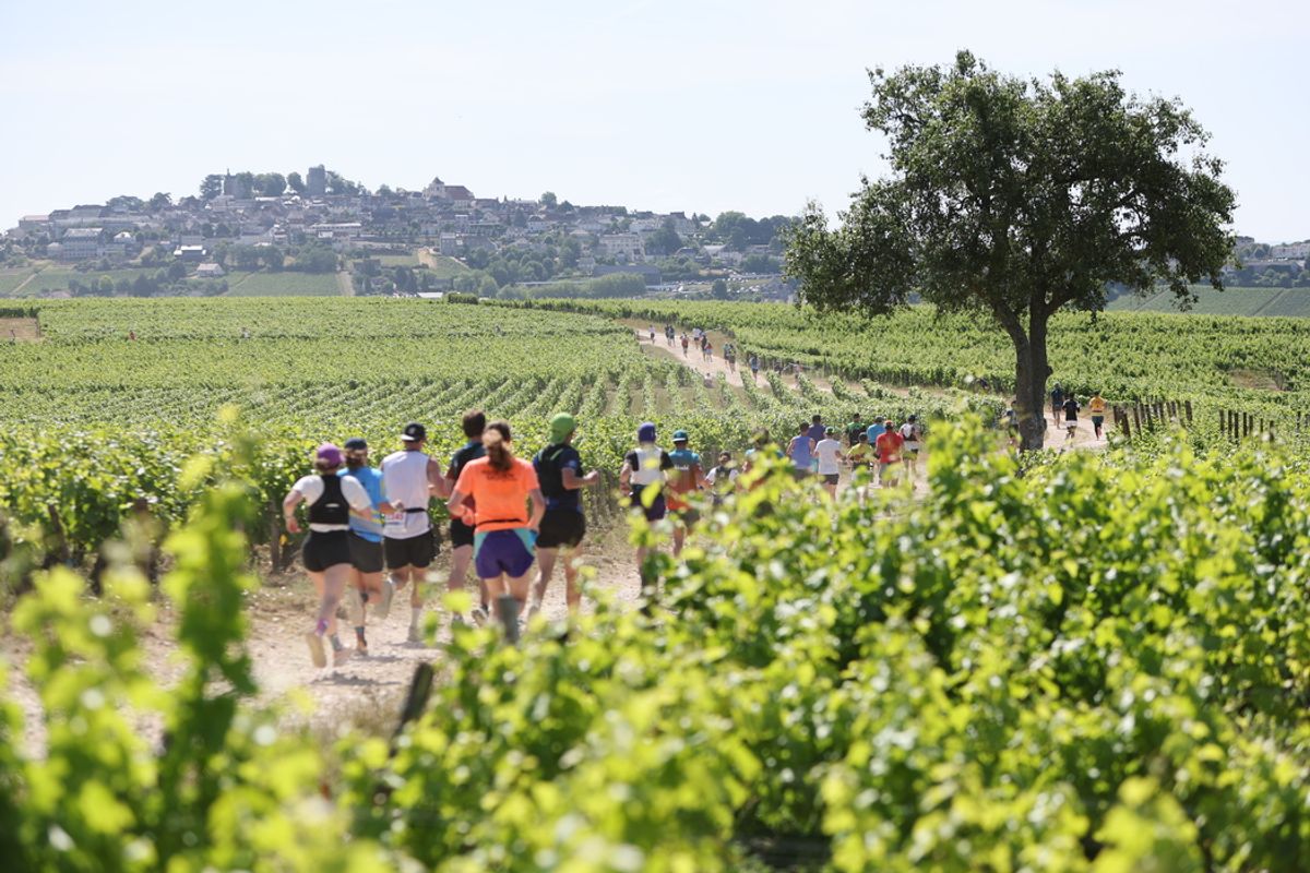 Retour en images sur l'édition 2026 du Trail de Sancerre - Le Journal ...