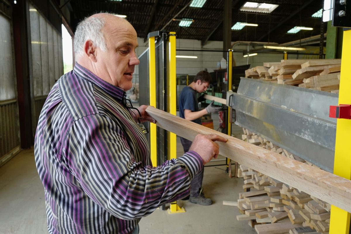 Du chêne limousin dans les barriques de cognac - Le Populaire du Centre