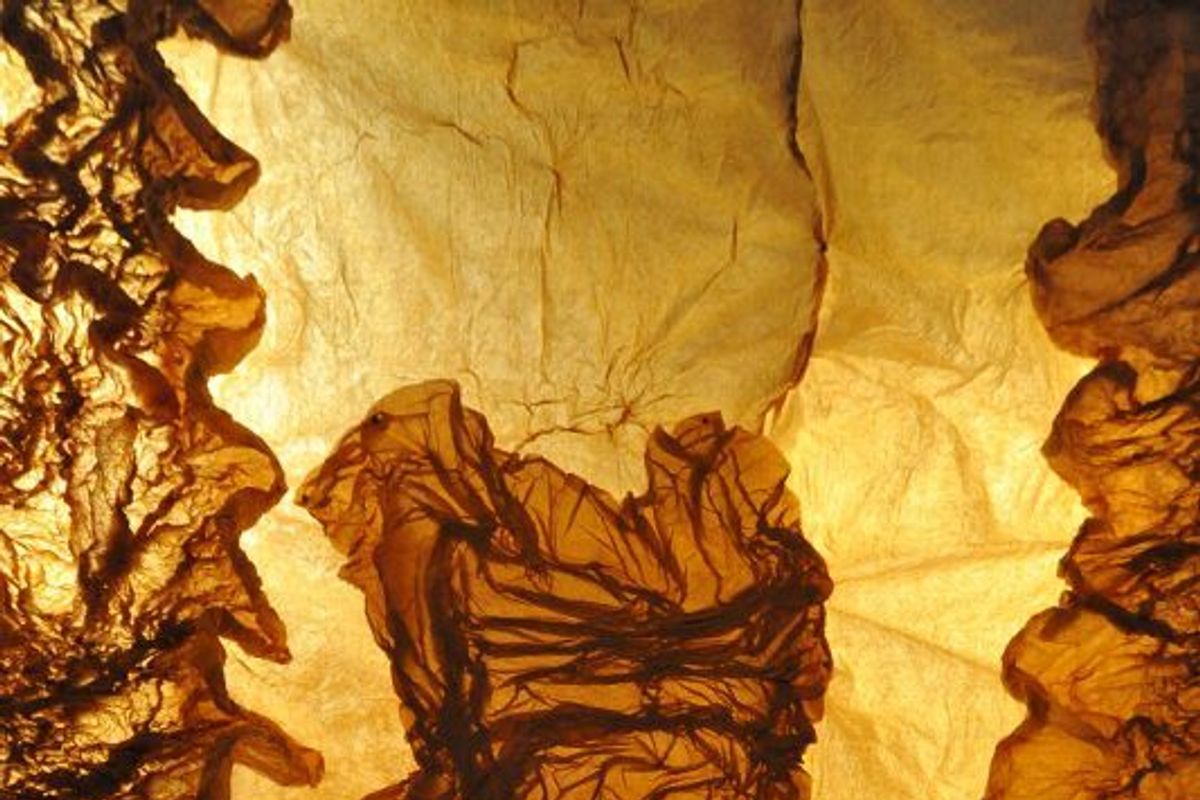La Caverne origami de Vincent Floderer et du Crimp est ouverte jusqu’au ...