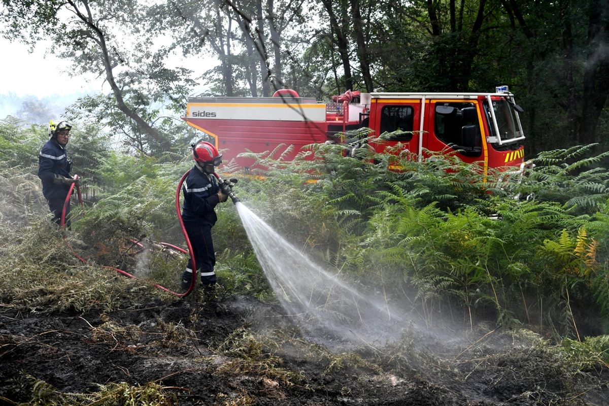 Corrèze : les pompiers à pied d'œuvre pour circonscrire un feu de forêt ...