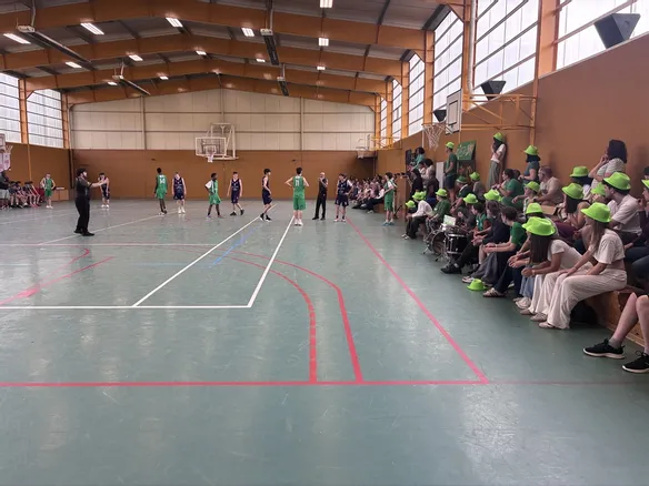 Saint-Georges-de-Mons : finales départementales de basket animées par ...