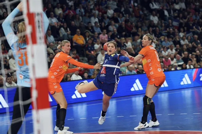 Handball : l'équipe de France a fait plaisir au Colisée de Chartres - L ...