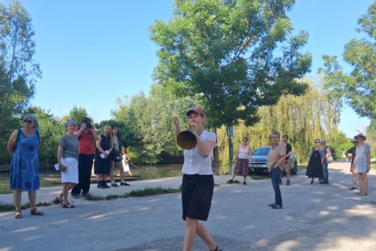 Balade sonore "Miroirs d'eau" : une expérience inédite dans les marais ...