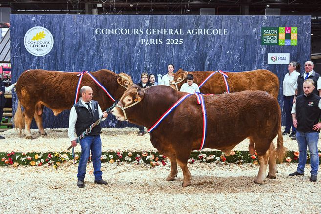 Salon de l'agriculture : les résultats et nos images du concours 2025 ...