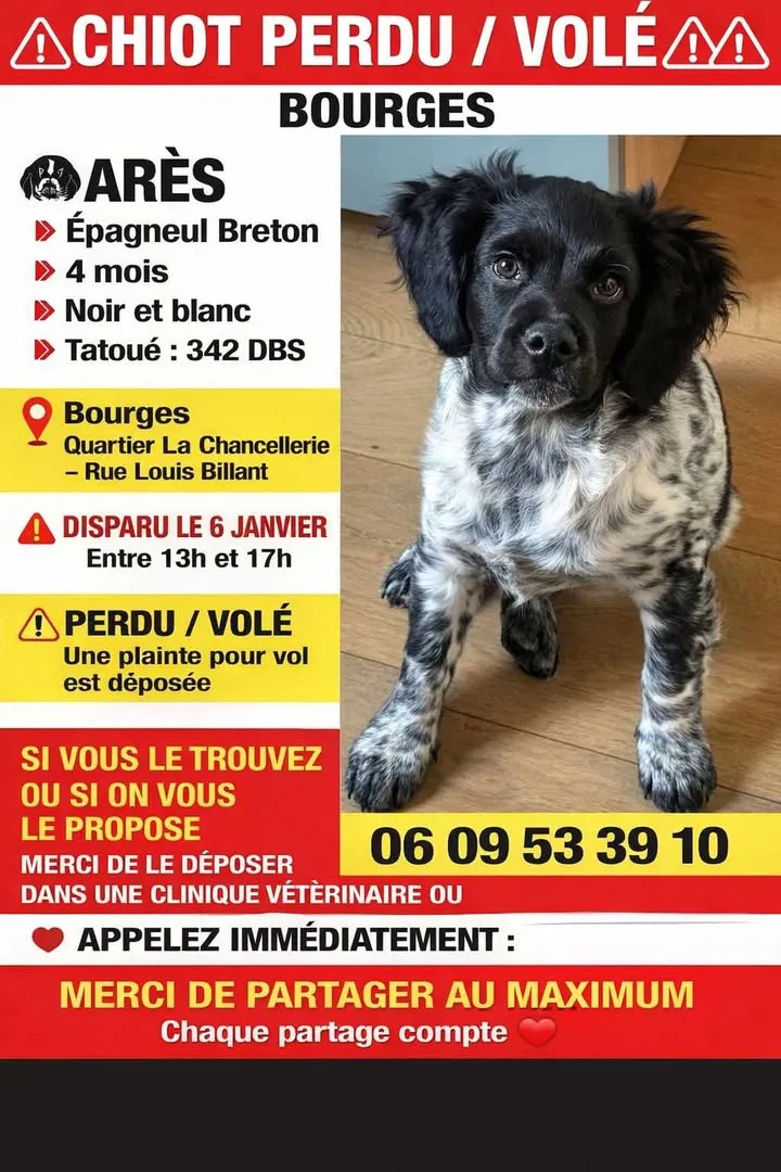 Spa Bourges Chien Adopternull