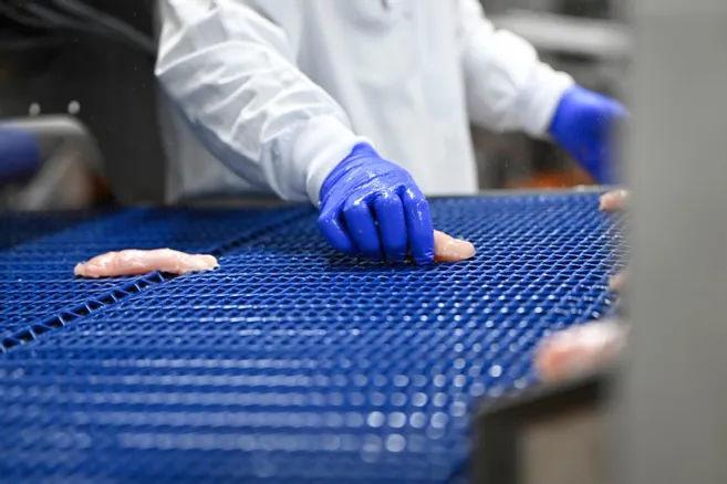 À Chailley, Duc évolue et fait le pari du poulet standard - L'Yonne ...