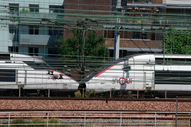 Enfant frappé dans le TGV : la mère condamnée à "un stage de ...