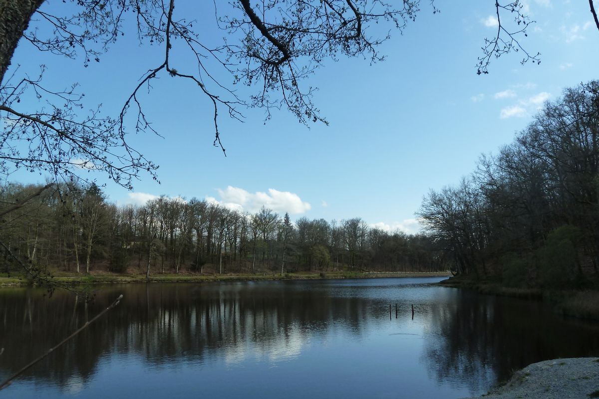 Rilhac-Rancon, riche d'un vaste patrimoine naturel - Le Populaire du Centre