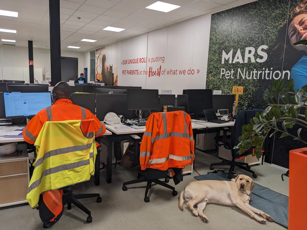 Mars Petcare France : du nouveau pour être encore plus aux petits soins ...