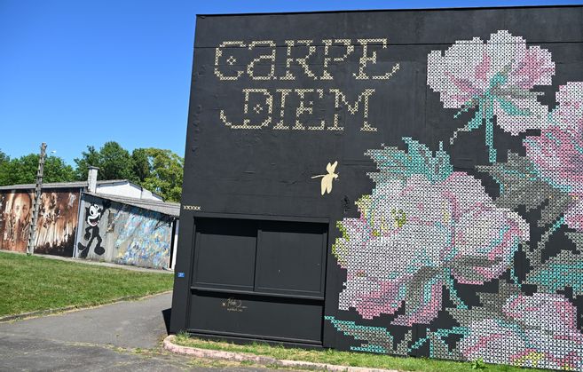 Découvrez les nouveautés de Street Art City - La Montagne