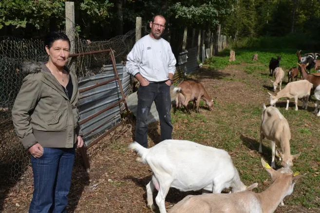 Frédéric Mellet, suspecté du meurtre de sa femme Chantal, renvoyé ...