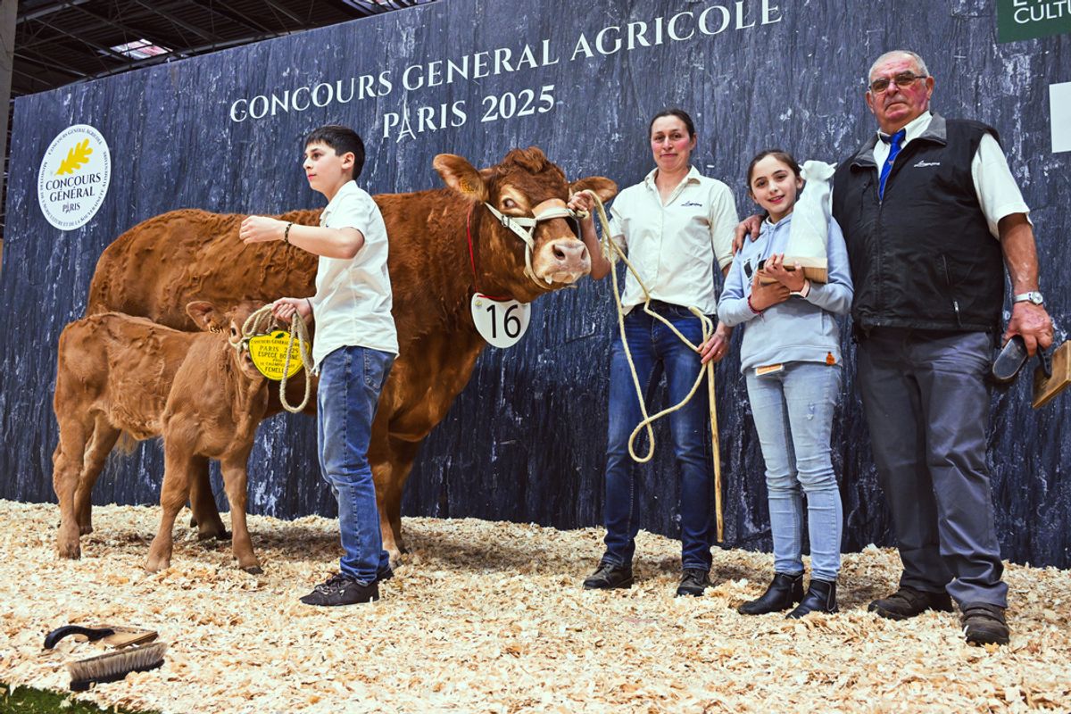 Salon de l'agriculture : les résultats et nos images du concours 2025 ...