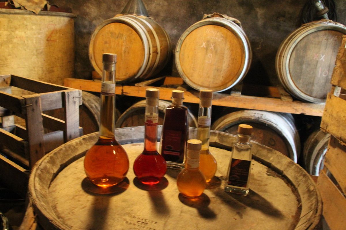 La famille Le Mogne parvient à produire du vinaigre balsamique dans l ...