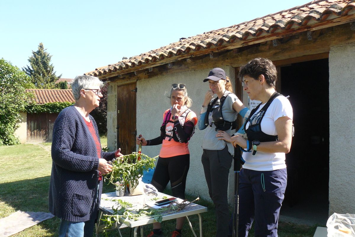 SAINT MAURICE. Une marche découverte et humanitaire - La Montagne