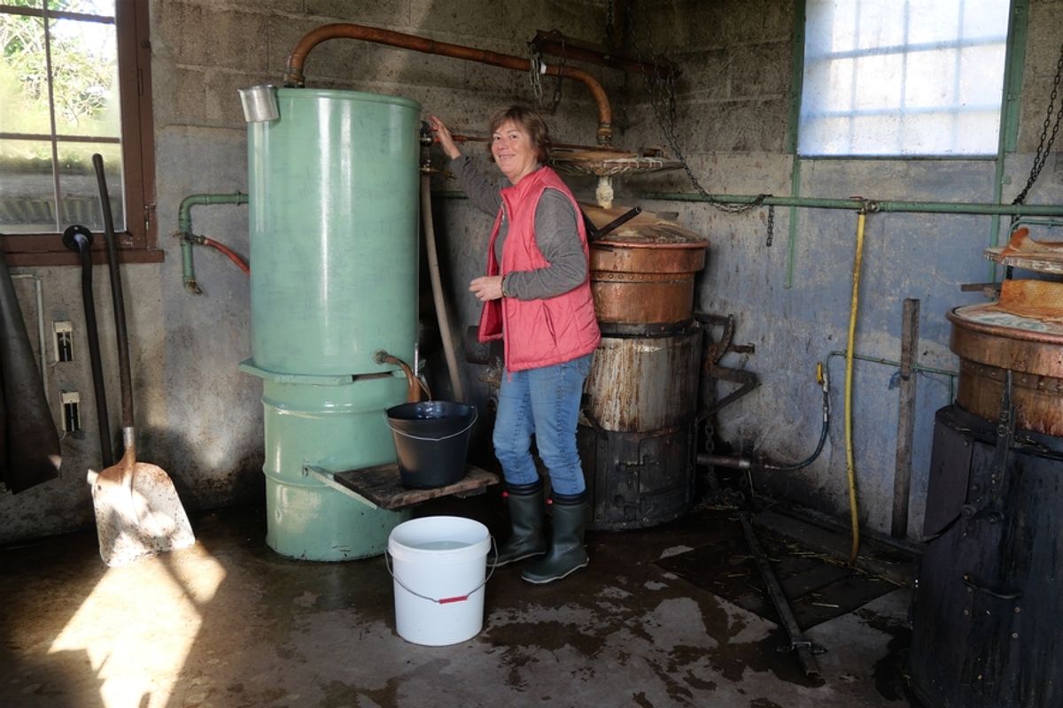 Distillerie Méan : cinquante ans plus tard, l'histoire de famille se ...