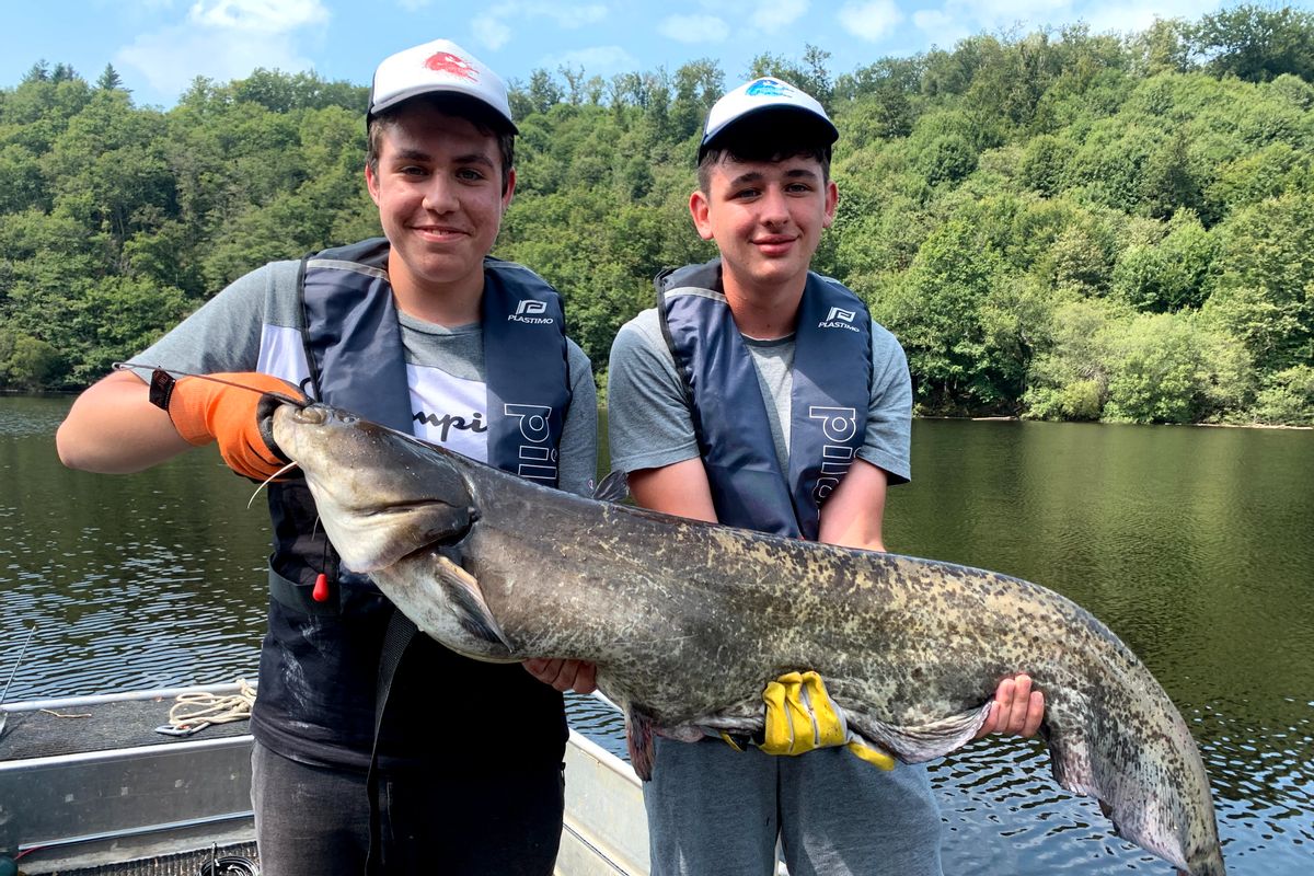 Dans la Vienne, à Limoges, les silures prennent leurs aises - Le ...