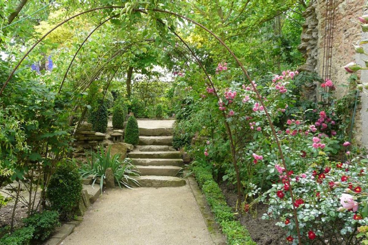 DYE. Le jardin d’Adrienne dévoile ses senteurs - L'Yonne Républicaine