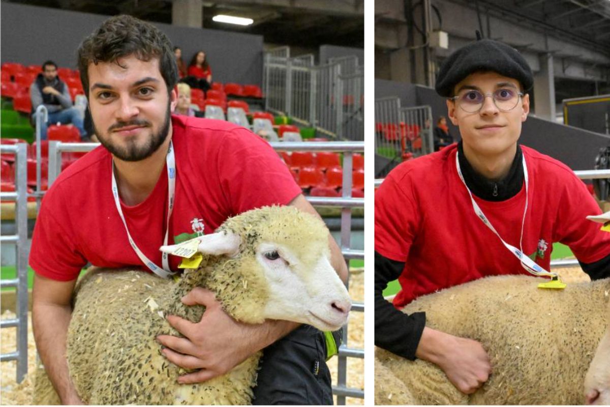 Nathan Félix et Maxime Boucher ont représenté le Limousin et la ...