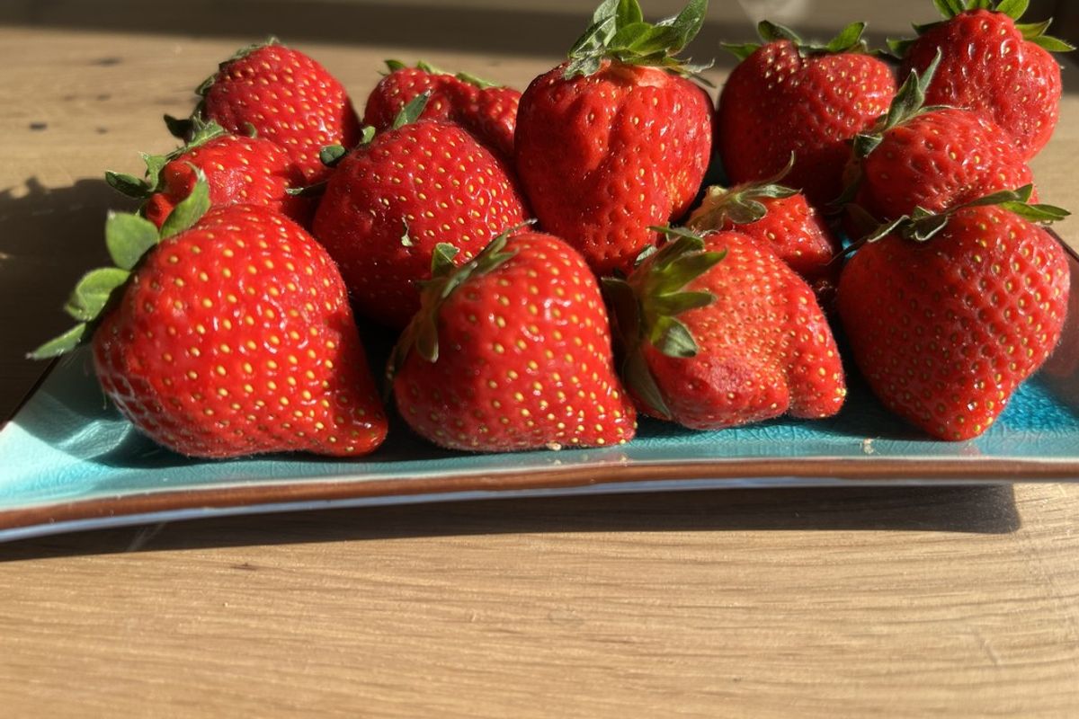 Rougir de plaisir avec les fraises : quelle variété choisir ? - L'Yonne ...