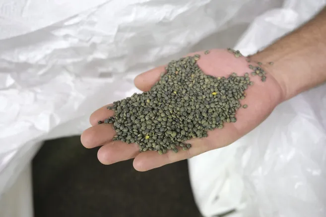 "Il a raison" : comment Hugo Clément a failli mettre tout le monde d ...