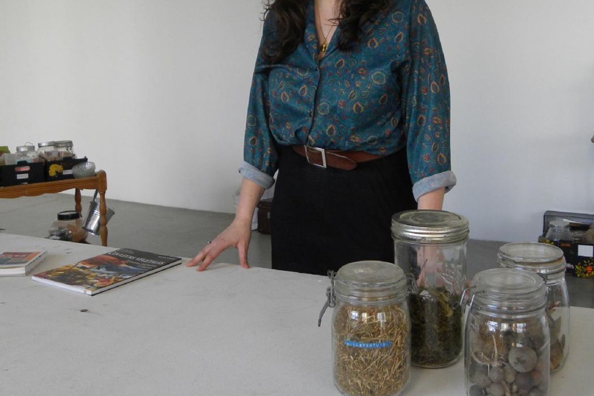 DOMPIERRE SUR BESBRE. Quand la biologie devient de l’art - La Montagne