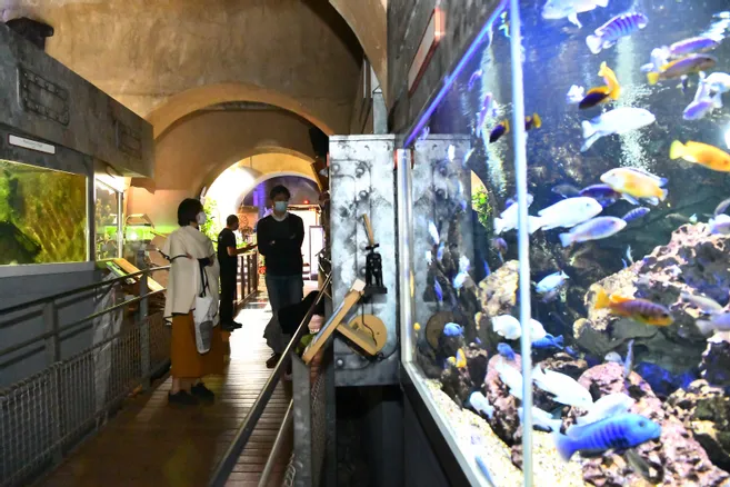 Questionnaire en ligne pour l'aquarium de Limoges - Le Populaire du Centre