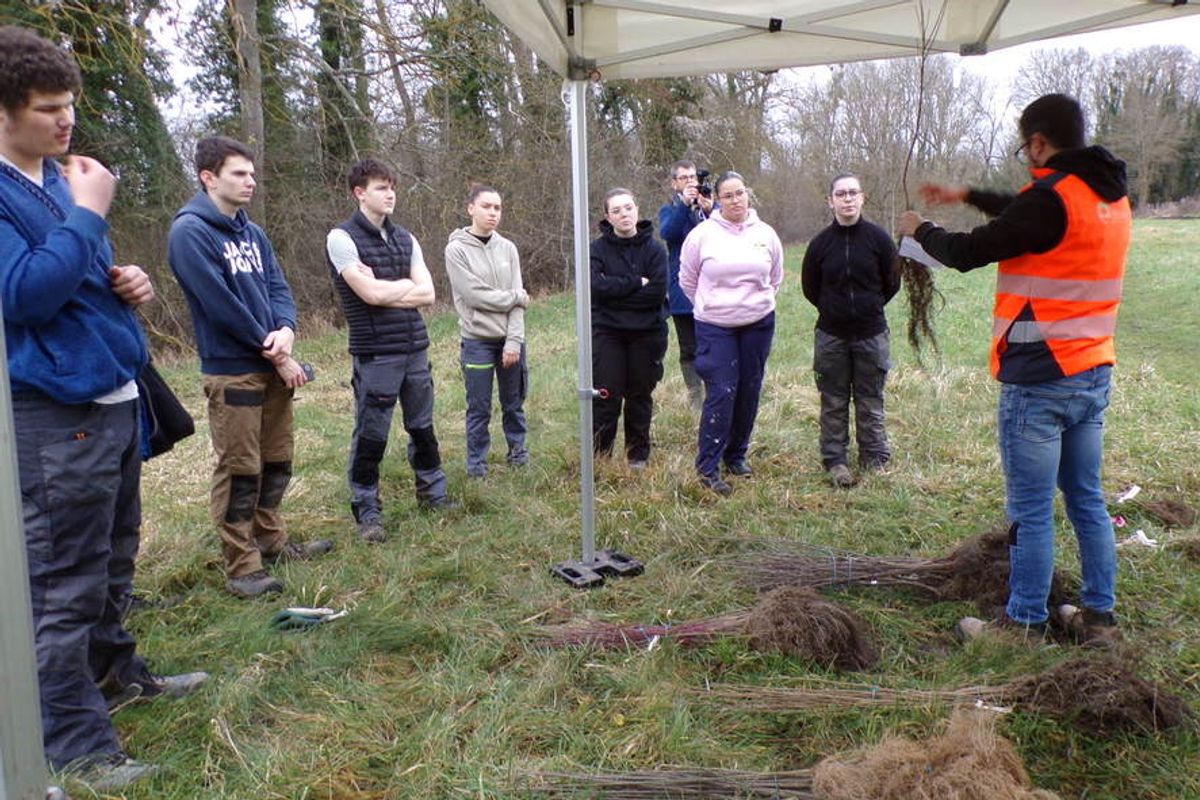 Une haie plantée par des jeunes dans la zone du Quillard - La ...