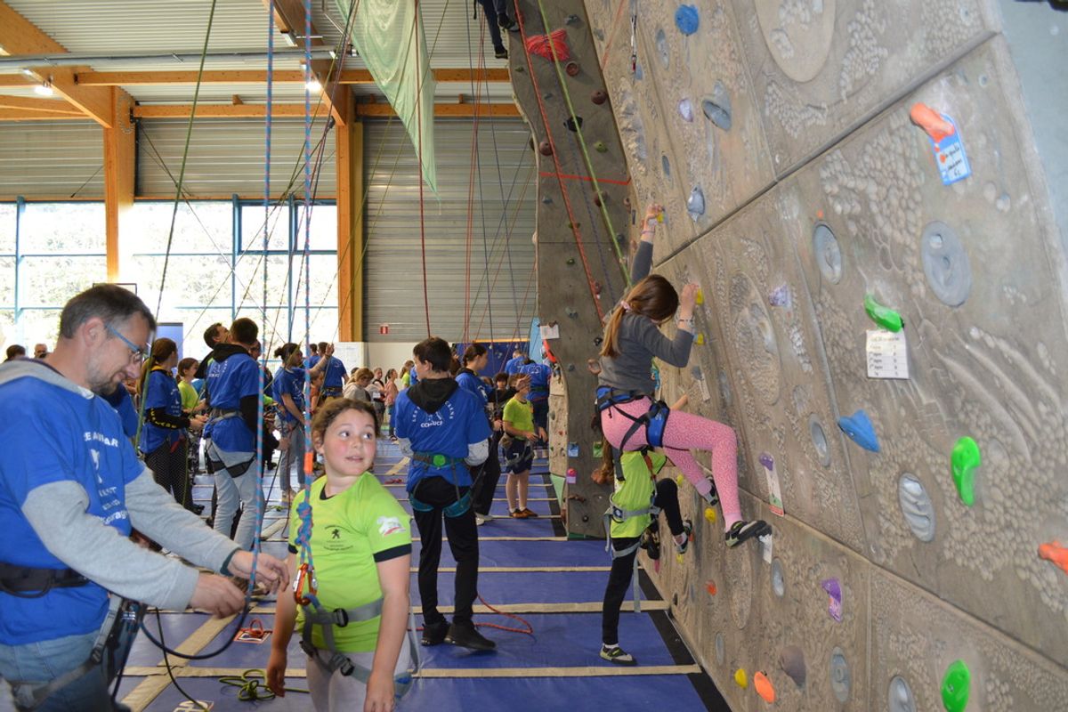 LUCE. 70 licenciés étaient réunis à la fête de l’escalade - L’Écho ...