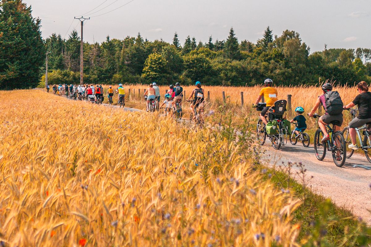 Troisième édition de Vélostival, une balade ponctuée d'animations - La ...