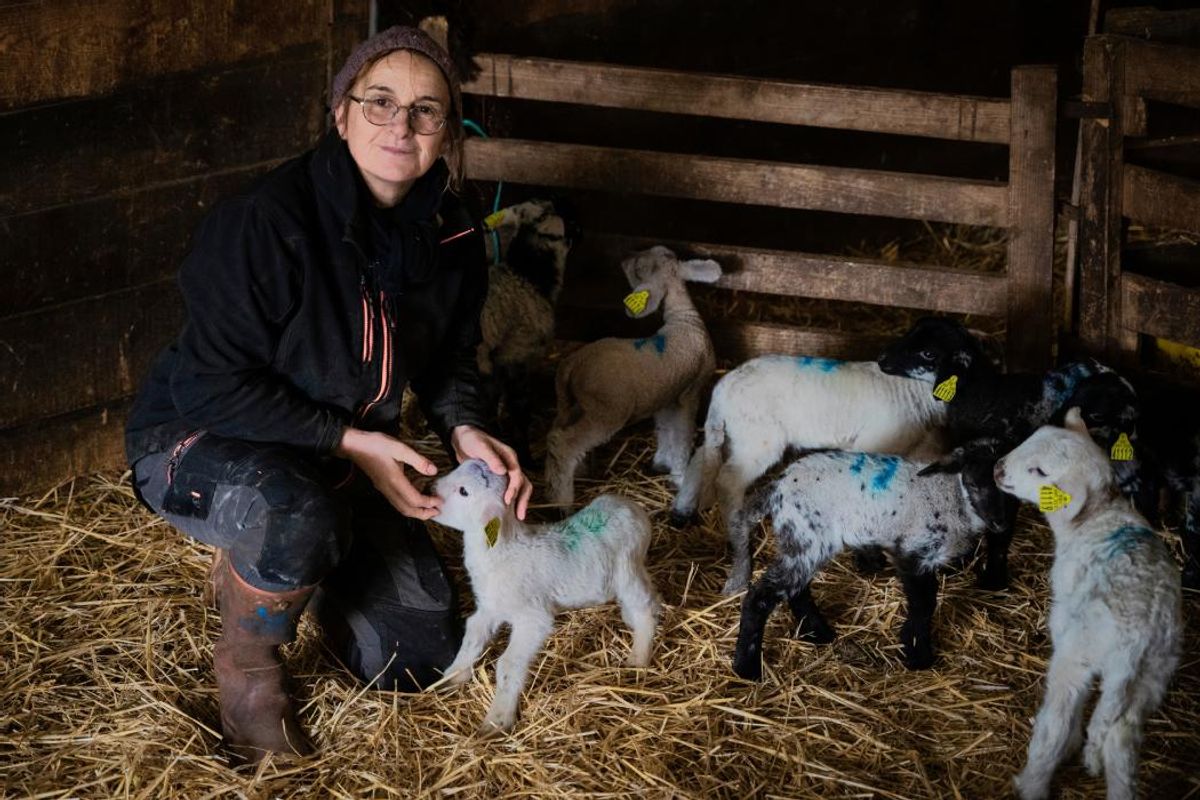 Qui est Michèle Boudoin, cette éleveuse passionnée et engagée patronne ...