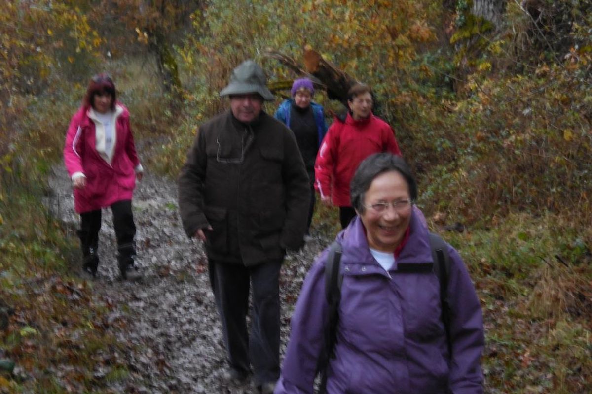 La randonnée des 29e chemins d’automne en Sologne se prépare - La ...