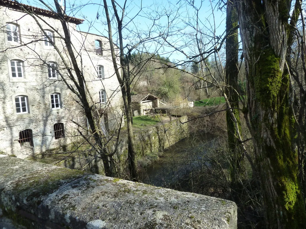 Un dimanche à Cussac, au pays de l'arbre - Le Populaire du Centre