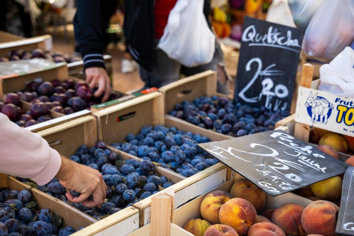 L'inflation ralentit à 5,6 % en septembre en France, mais les prix des produits alimentaires ...