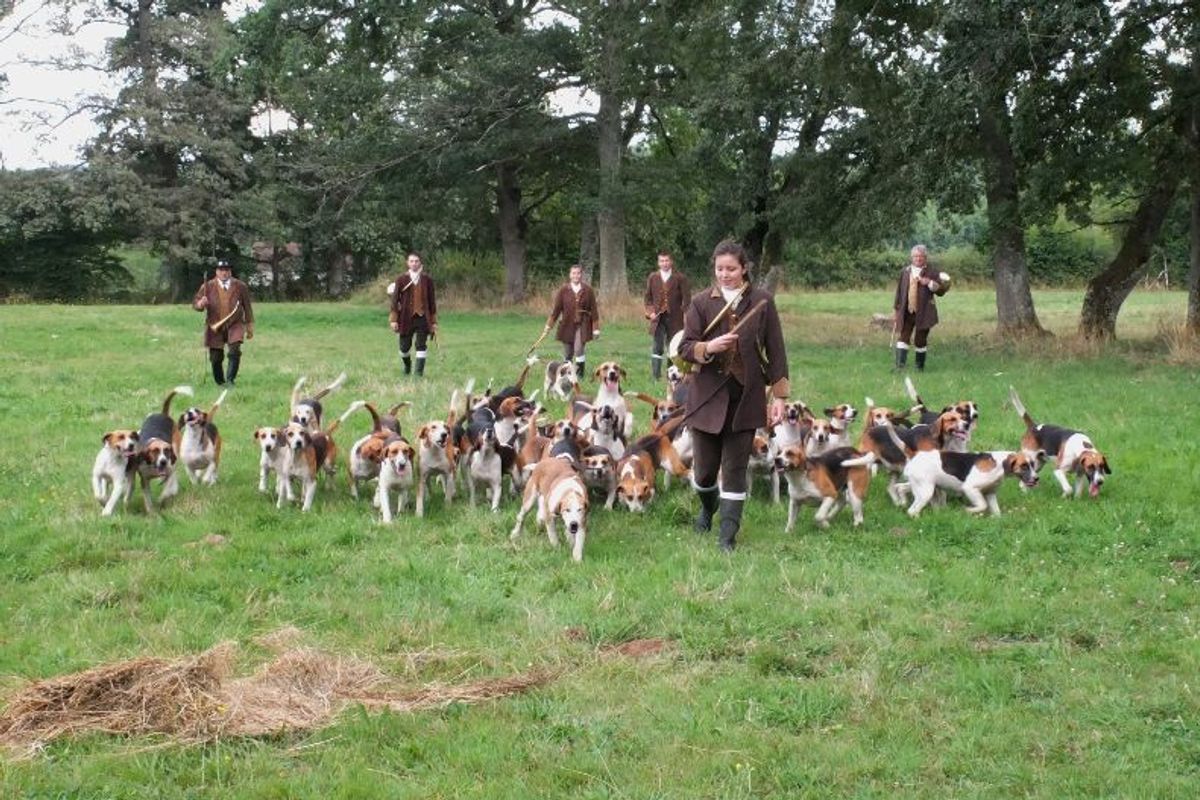 Creuse : les pratiquants de chasse à courre déprogrammés sous la ...