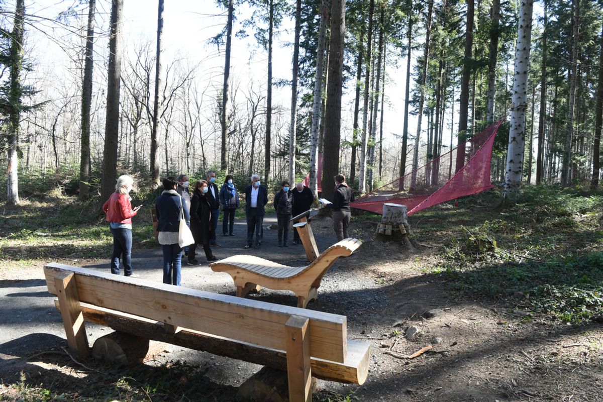 Le sentier des contes ouvre à tous la forêt de la Comté, dans le Puy-de ...