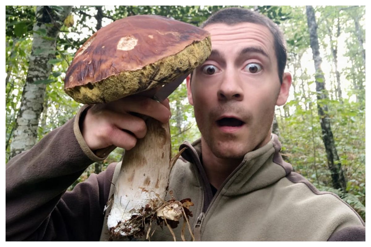 Un cèpe d'une taille exceptionnelle trouvé dans un bois du Cantal - La ...