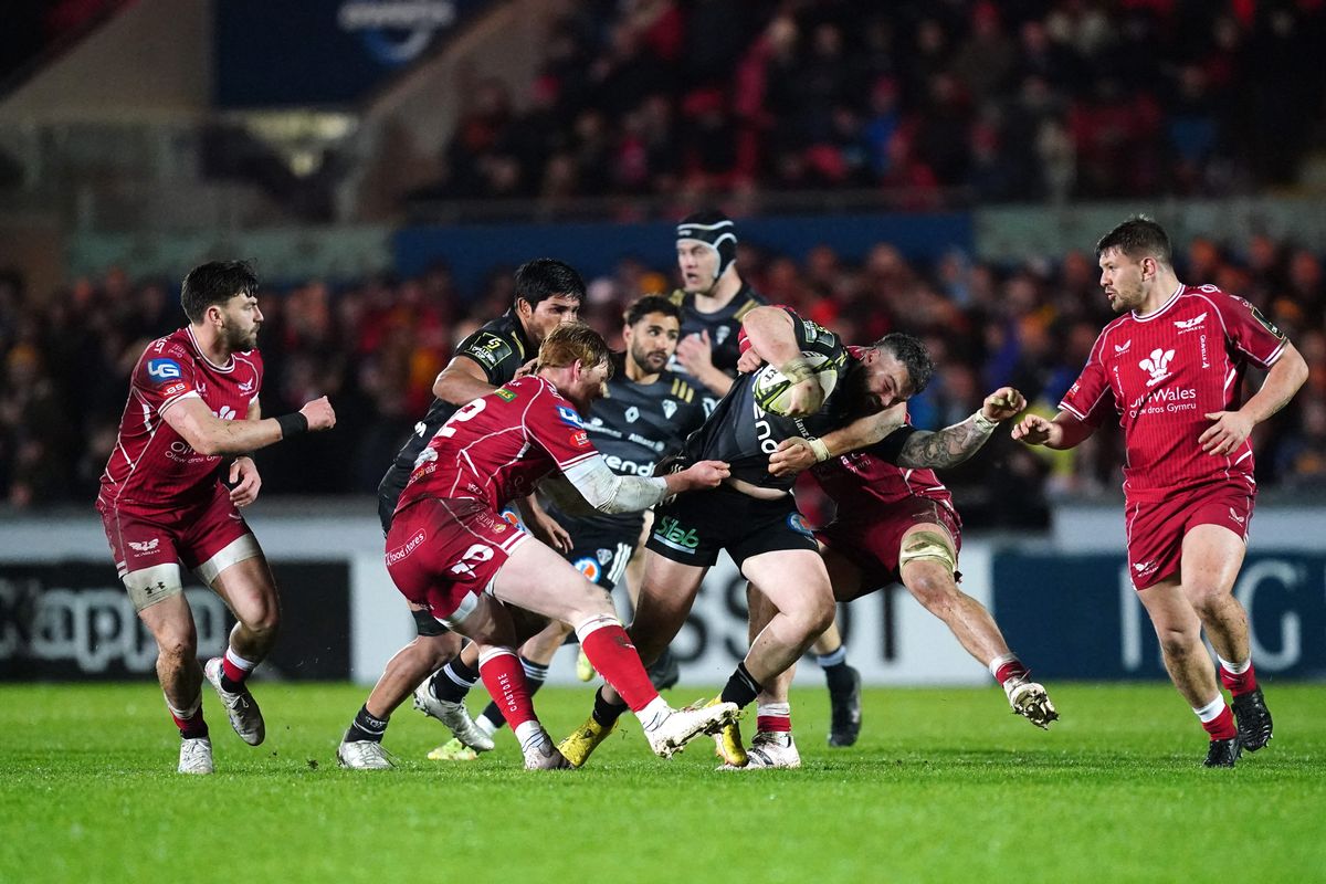 Challenge Cup : découvrez la compo des Scarlets pour le quart de finale ...