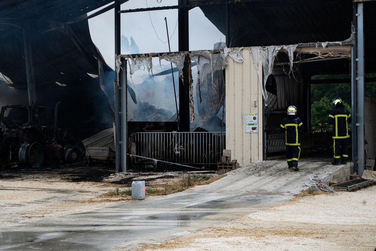 Un suspect reconnaît avoir mis le feu à une chèvrerie de Bitry - Le ...