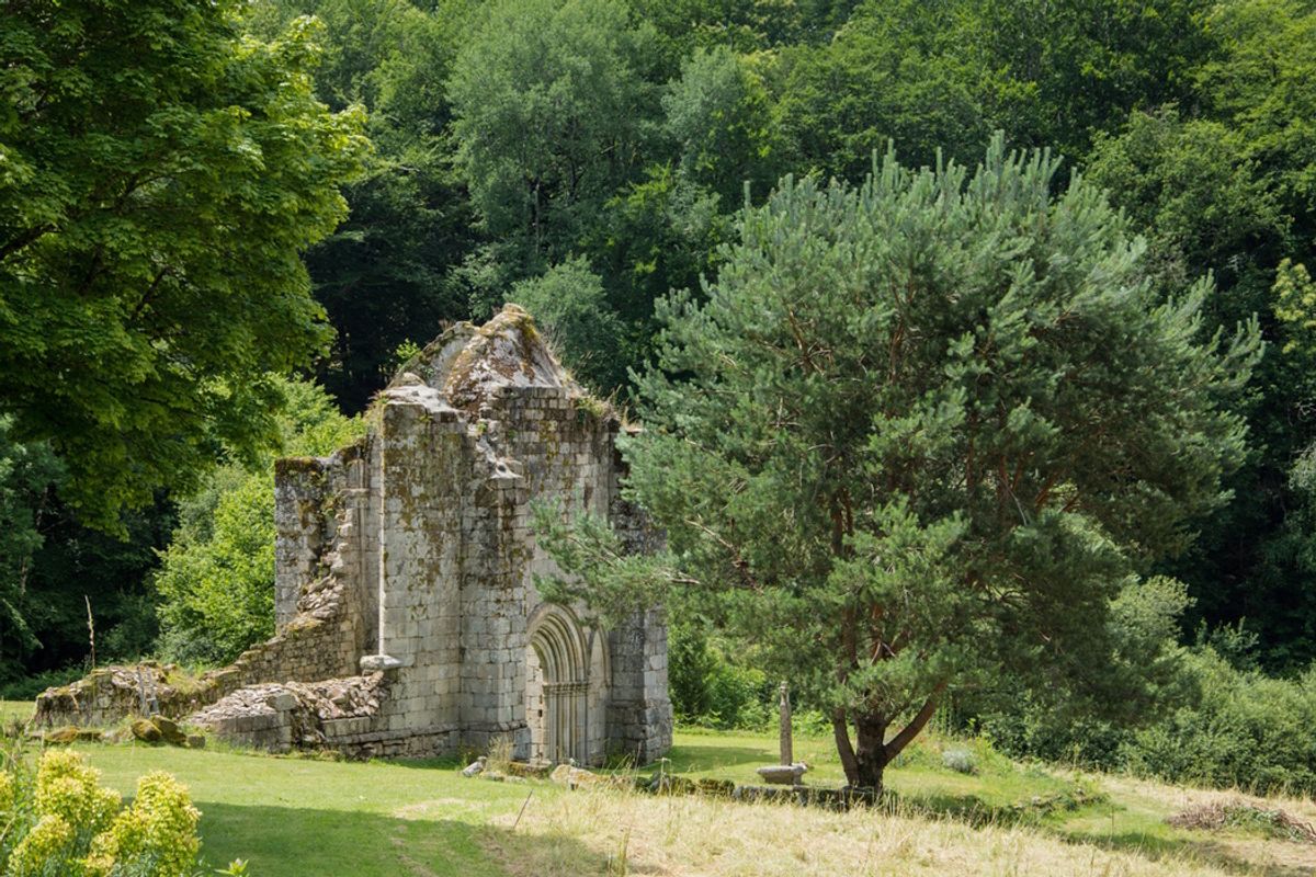 Et si vous randonniez sous la lune en Creuse ? - La Montagne