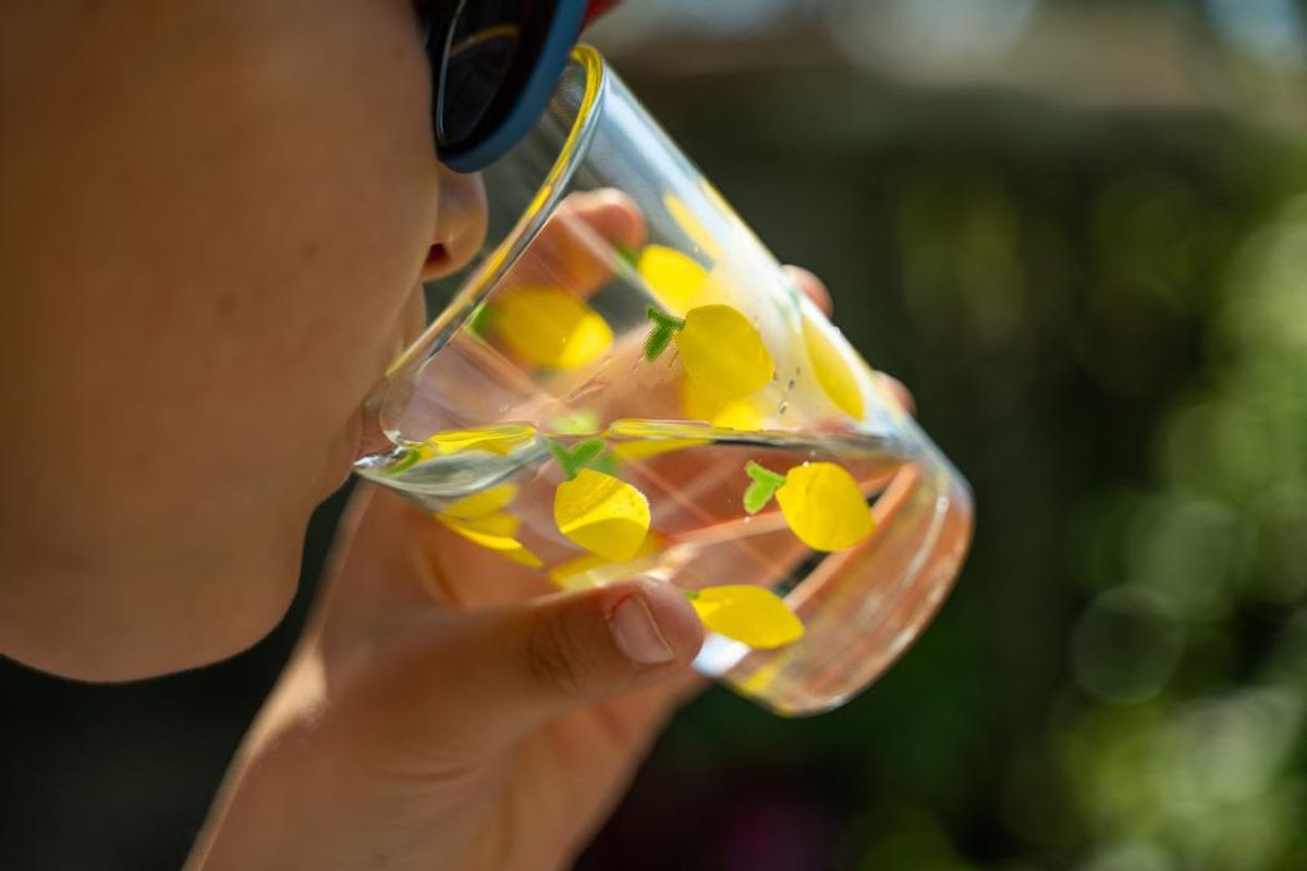 Vigilance canicule : on y est de nouveau pour le Puy-de-Dôme et l ...