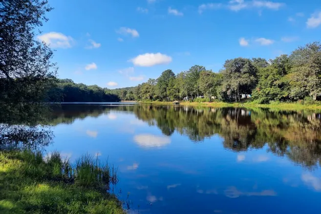 Pour l'association Étangs de France Nivernais Morvan : "ces plans d'eau ...
