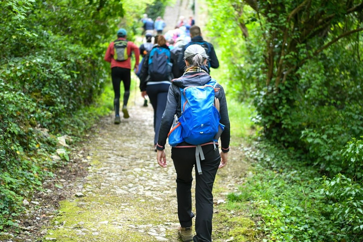 Avallon, Saint-Clément, Sougères-en-Puisaye, Sens, Tonnerre... L'actu ...