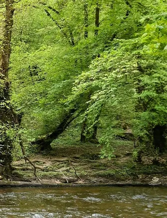 À Lormes, le festival 'La Balade des mots' invite à explorer le vivant ...