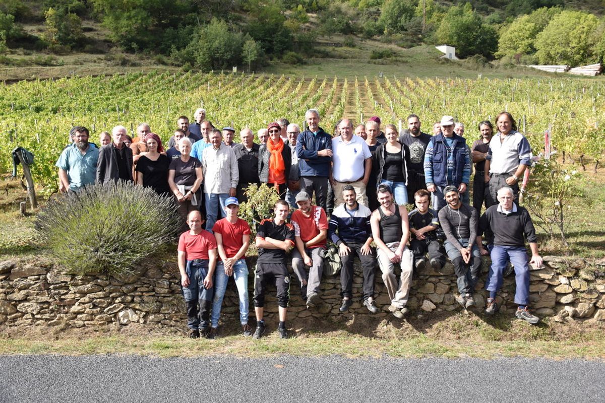 Qu'en est-il de la cuvée 2019 de la vigne communautaire des Rives du ...