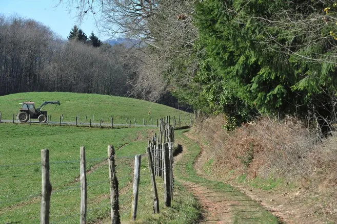 Un apiculteur condamné après avoir piégé avec des clous un chemin lié à ...