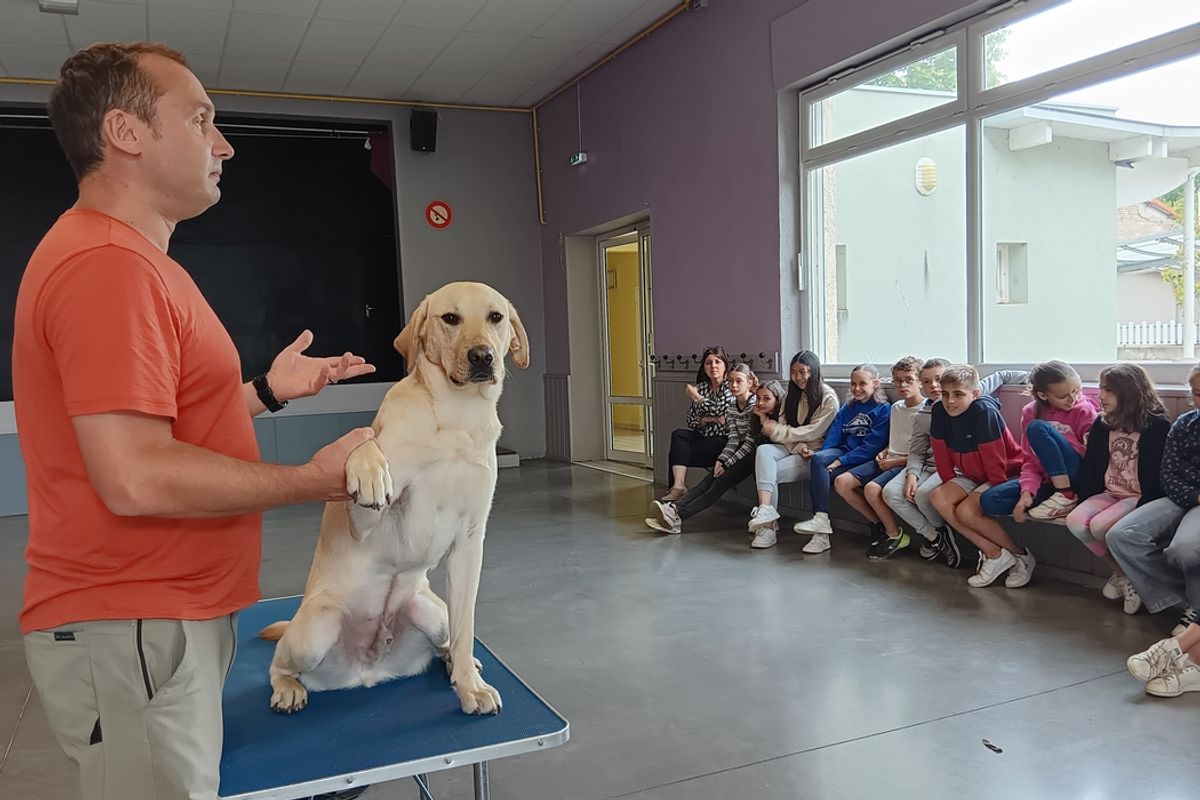 Des chiens guides à l’école - La Montagne