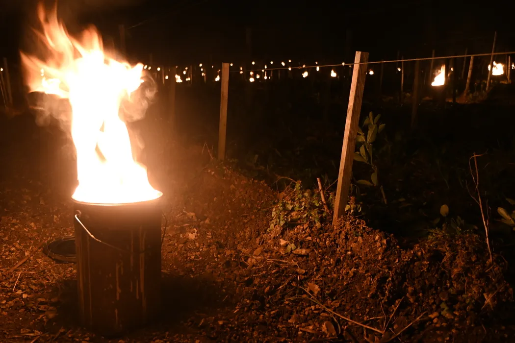 "On a commencé à allumer les bougies" : reportage lors d'une nuit de ...